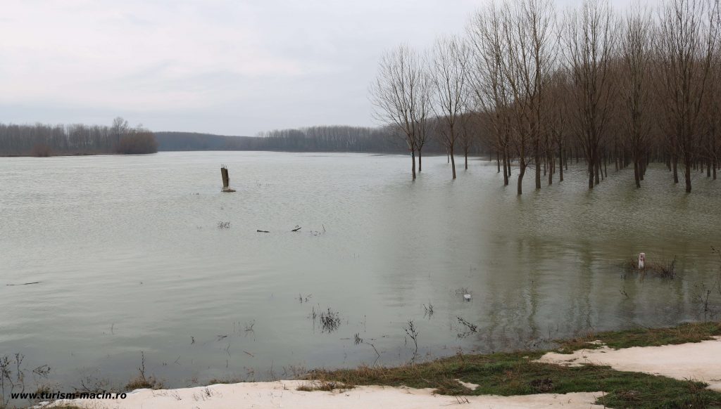 Cotele apelor Dunarii la Macin - Turism Macin